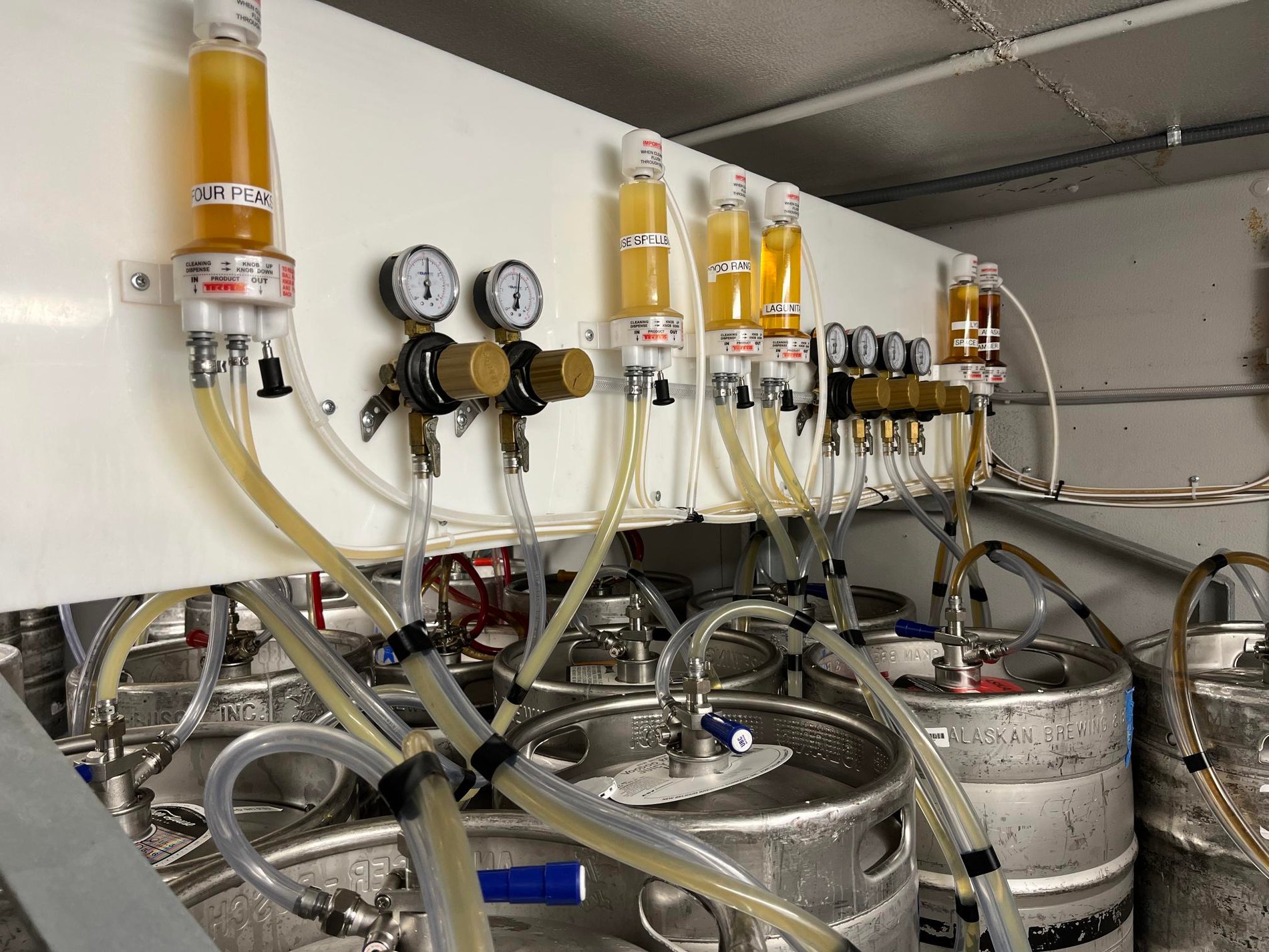 Introducing: THE PANEL (and How It Can Help Your Walk-In Cooler)